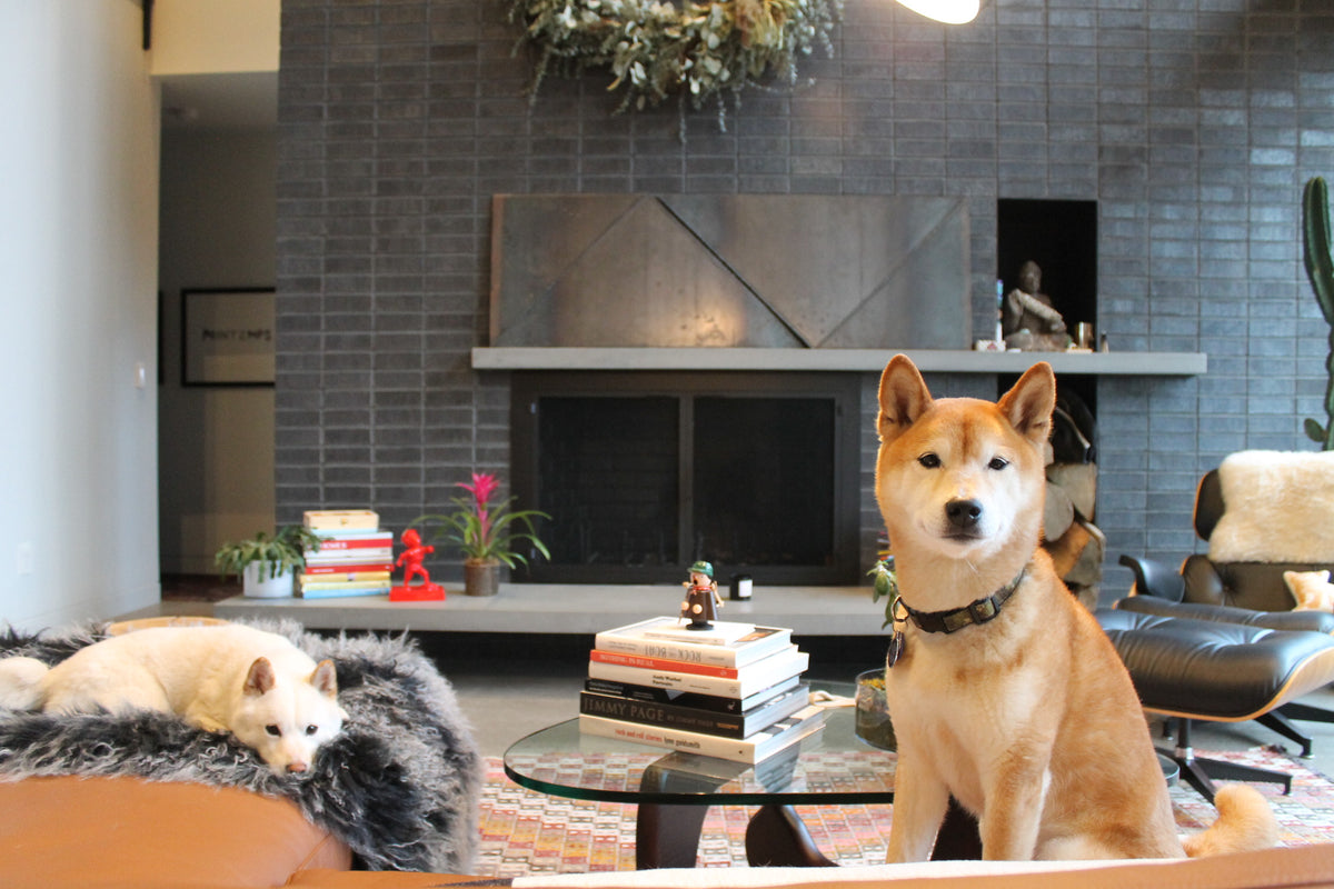 Foxy Den – Mill Creek Market